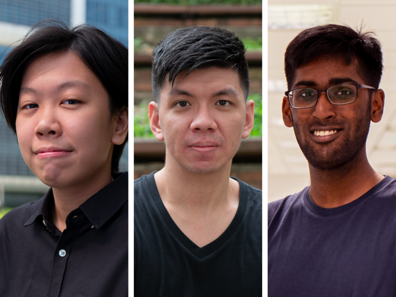 The Integrator, The Versatilist and The Deep Specialist - NUS College ...