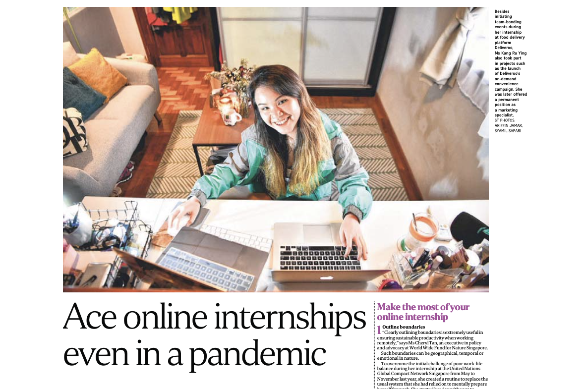 Drawing Maximum Value from Online Internships - NUS College of ...