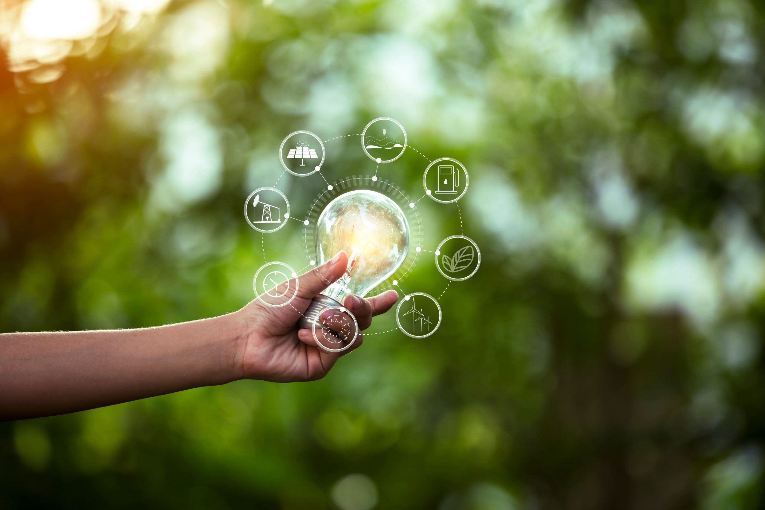 Using nature to fight climate change - NUS College of Humanities and ...