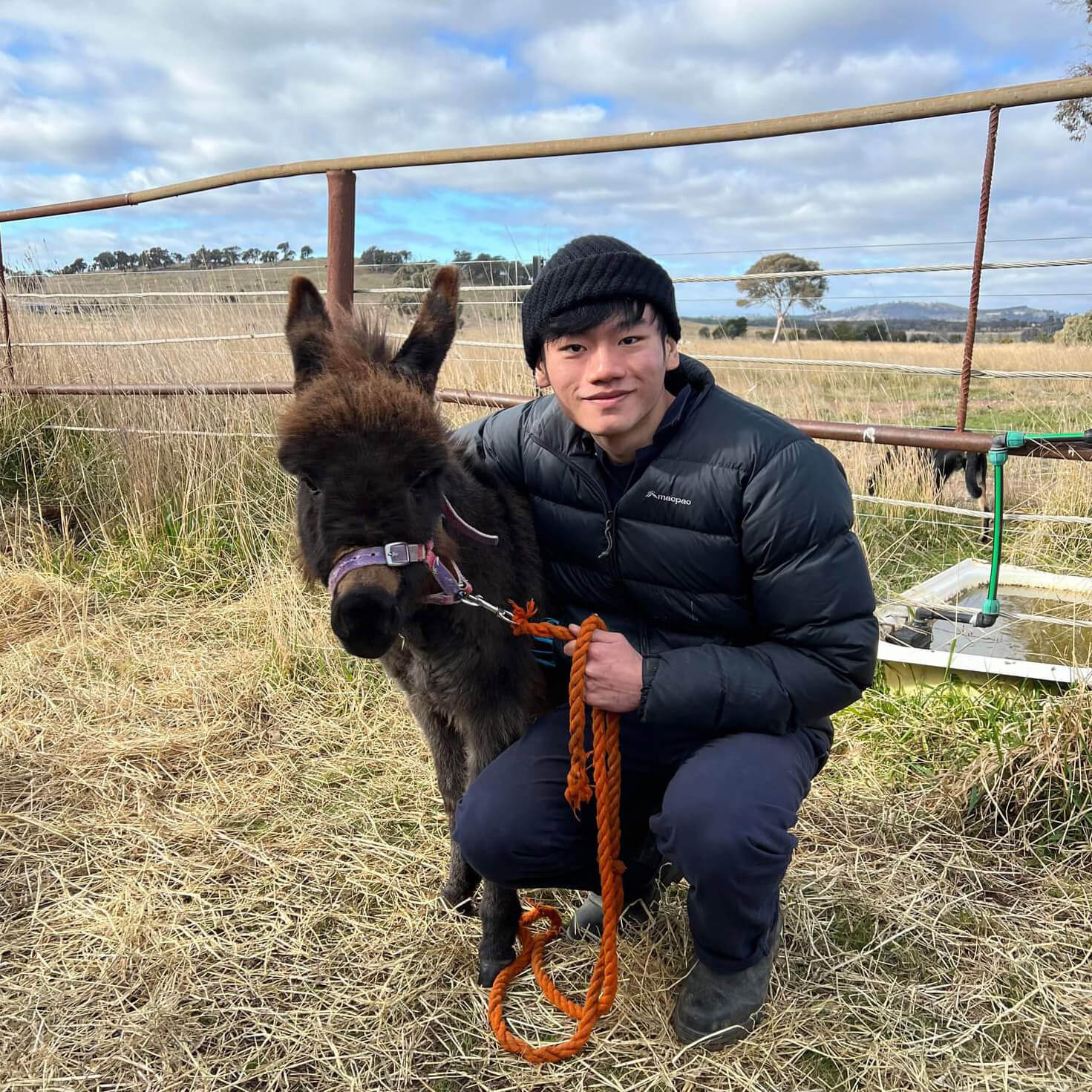 Celebrating the human-animal bond - NUS College of Humanities and Sciences