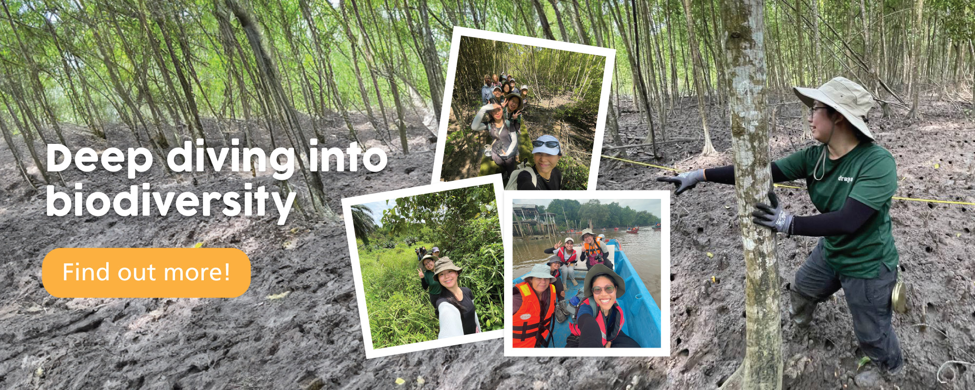 College of Humanities and Sciences: NUS